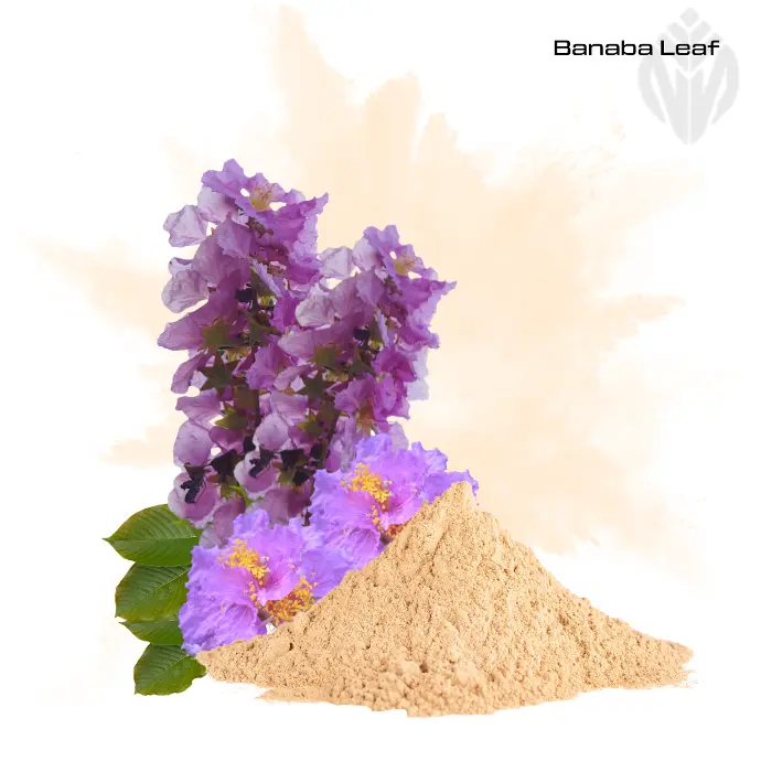 Banaba Leaf Extract | nako naturals