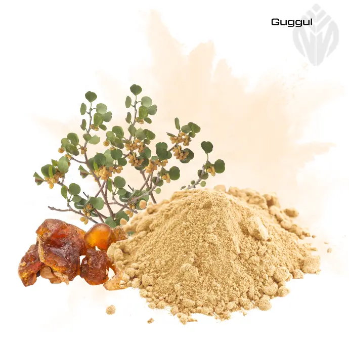 Guggul Dry Extract 10 % Guggulsterones | nako naturals