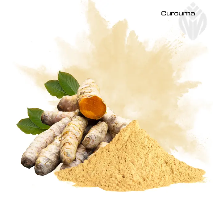 Curcuma Extract | nako naturals