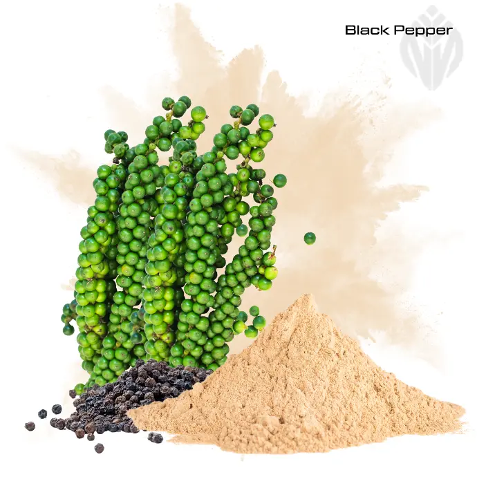Black Pepper Extract | nako naturals